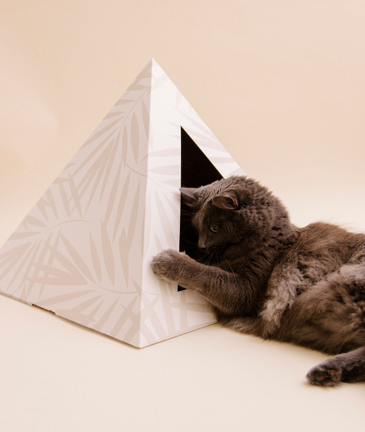 'Neutral Palm' Cardboard Cat Pyramid – Haven Herbs